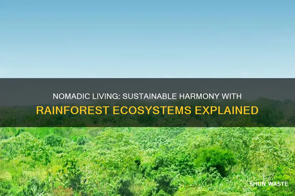 Nomadic Living: Sustainable Harmony With Rainforest Ecosystems ...