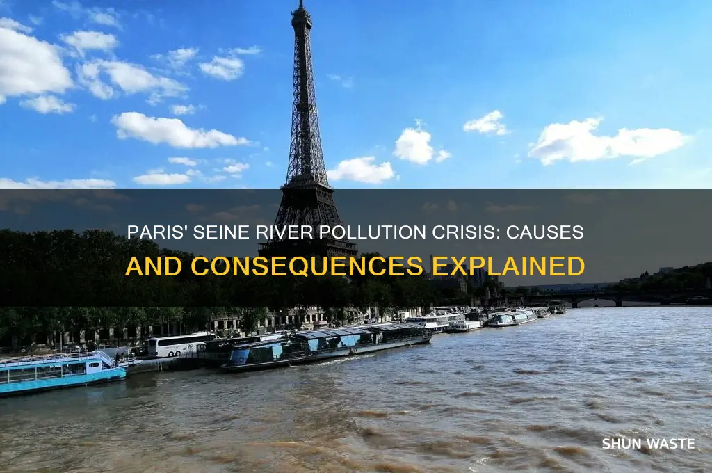 Paris' Seine River Pollution Crisis: Causes And Consequences Explained ...