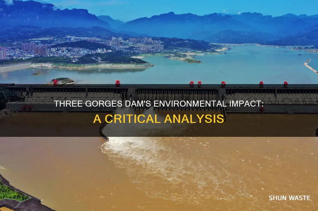 Three Gorges Dam's Environmental Impact: A Critical Analysis | ShunWaste