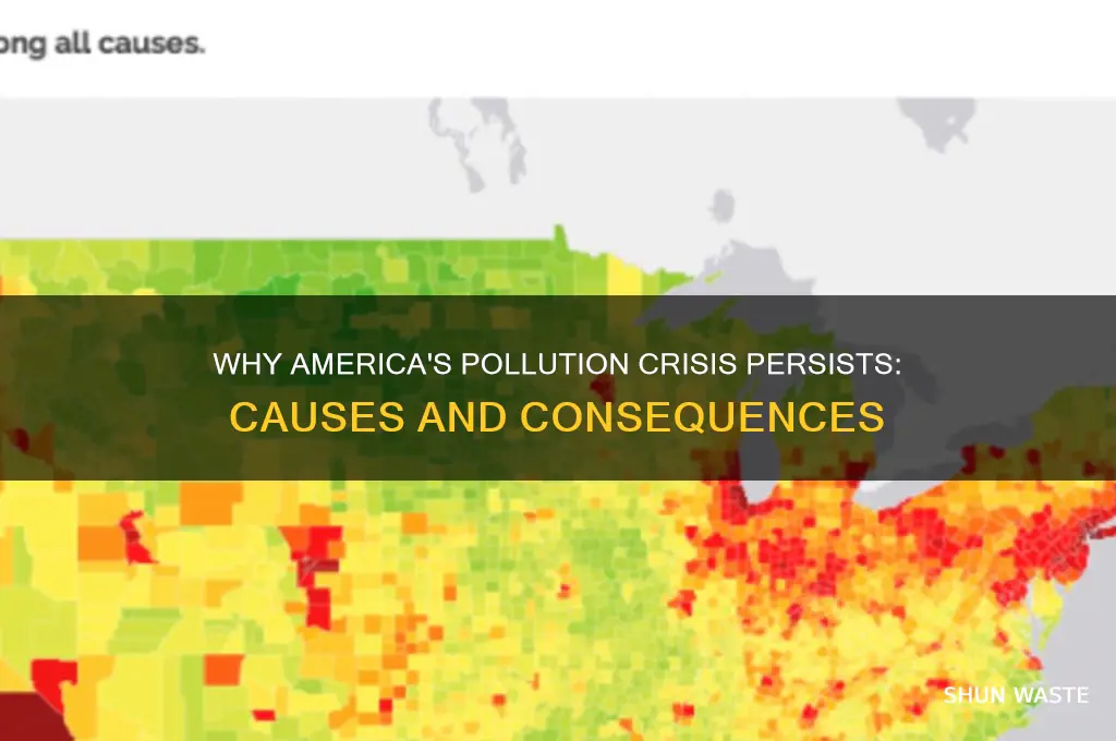 Why America's Pollution Crisis Persists: Causes And Consequences ...