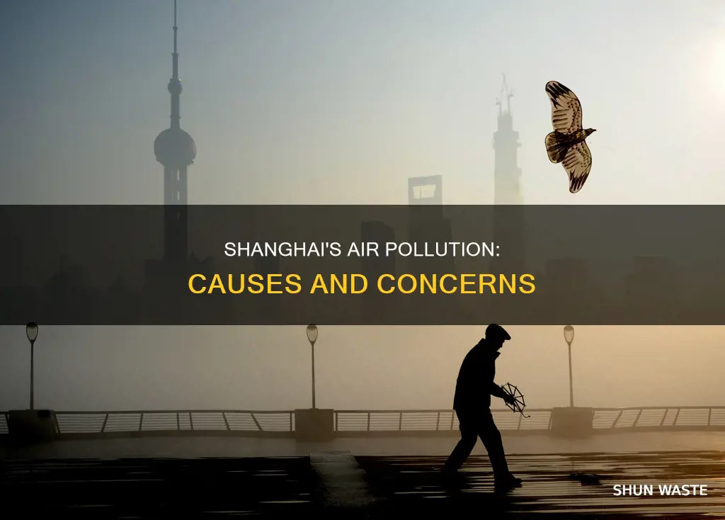 Shanghai's Air Pollution: Causes And Concerns | ShunWaste