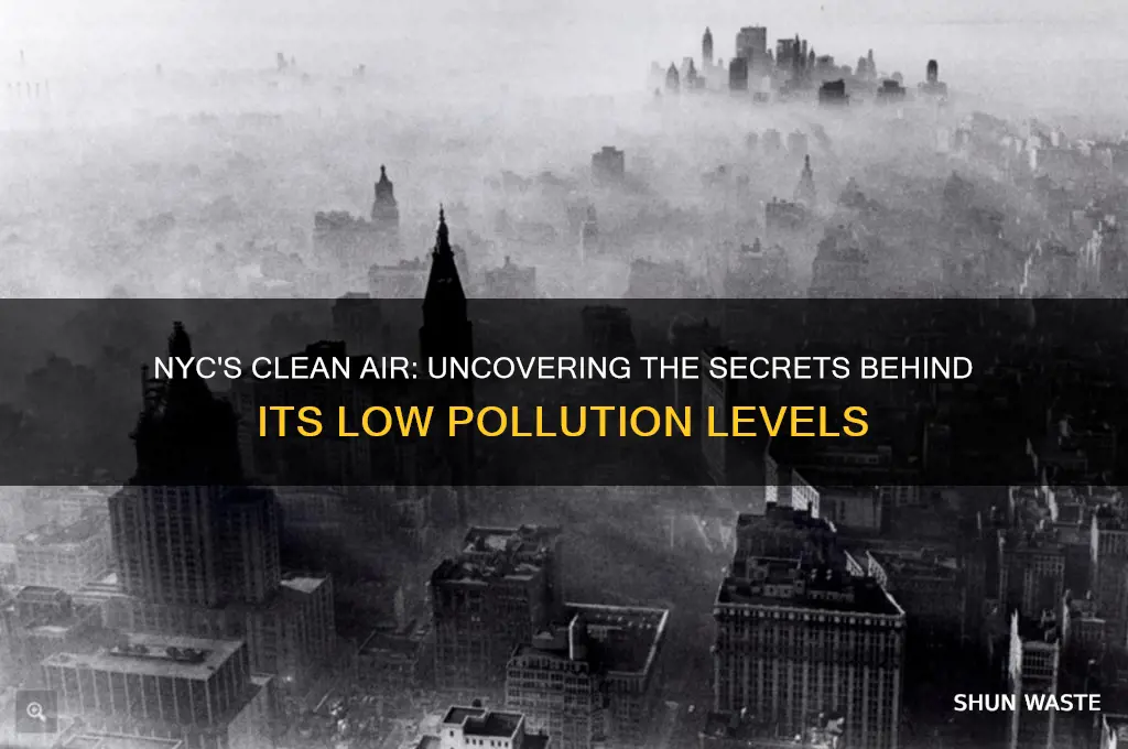 Nyc's Clean Air: Uncovering The Secrets Behind Its Low Pollution Levels ...