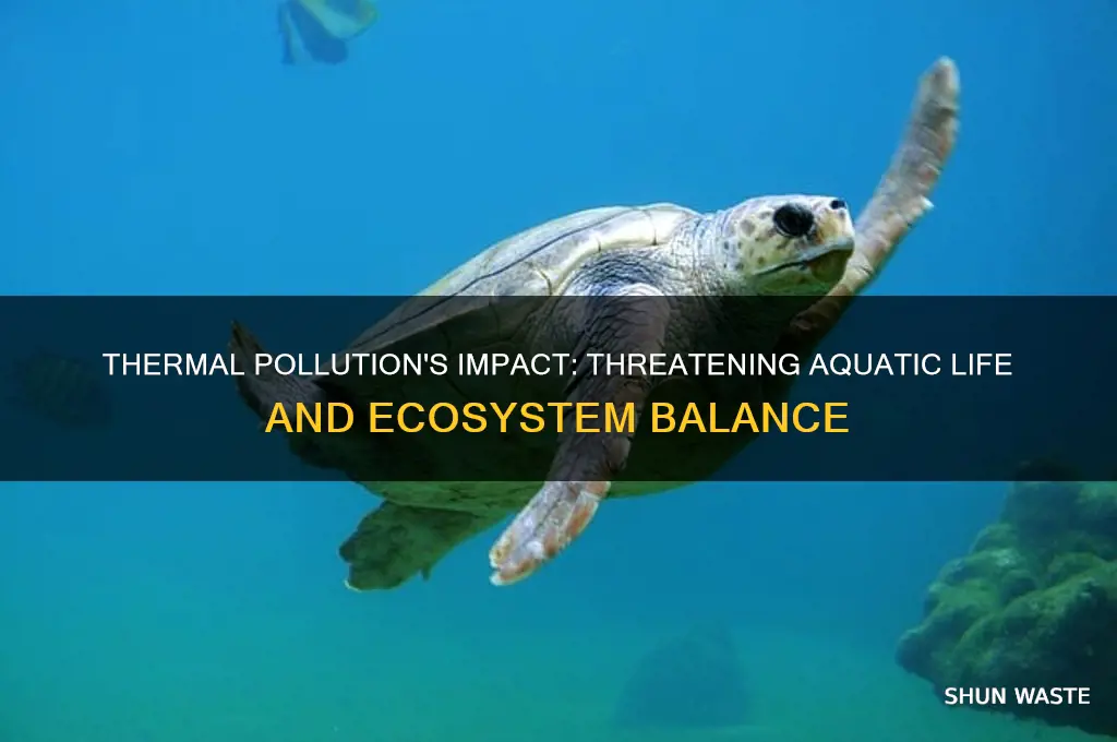 Thermal Pollution's Impact: Threatening Aquatic Life And Ecosystem ...
