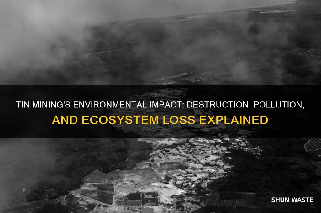 Tin Mining's Environmental Impact: Destruction, Pollution, And ...