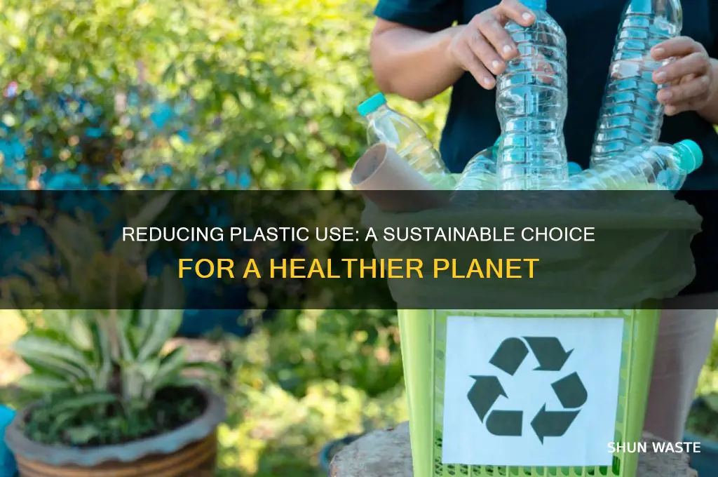Reducing Plastic Use: A Sustainable Choice For A Healthier Planet ...