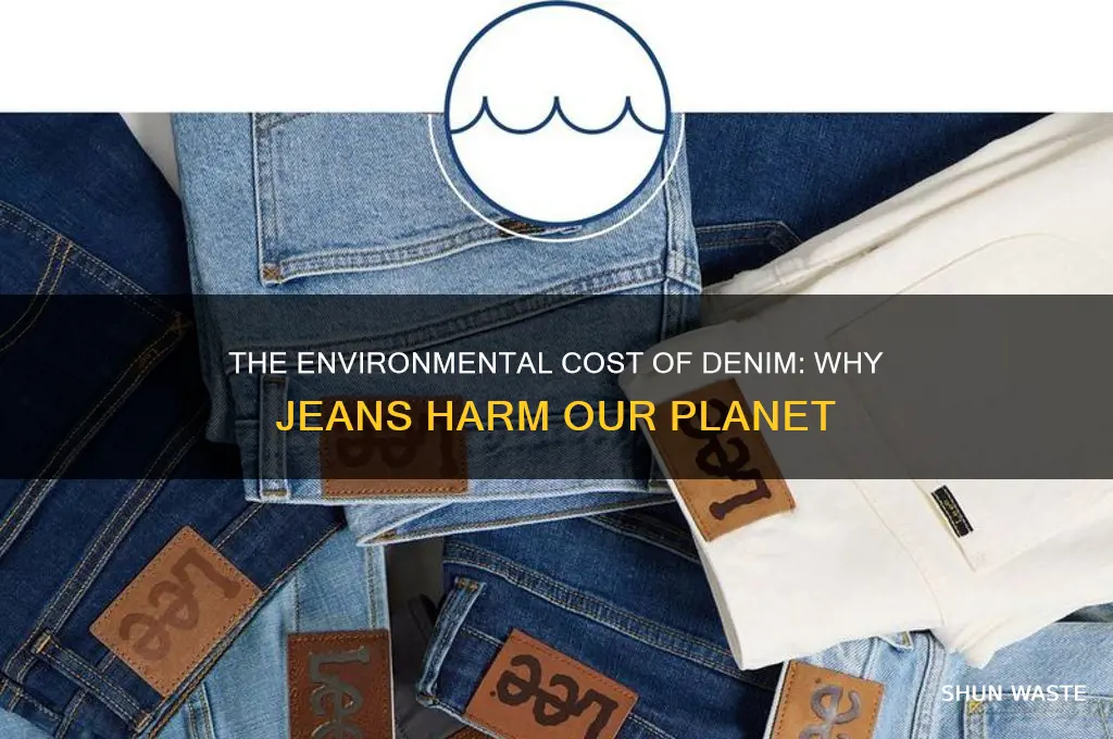 The Environmental Cost Of Denim: Why Jeans Harm Our Planet | ShunWaste