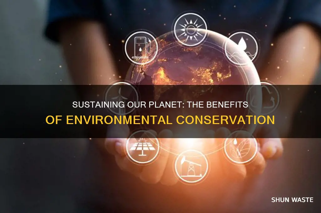 Sustaining Our Planet: The Benefits Of Environmental Conservation ...