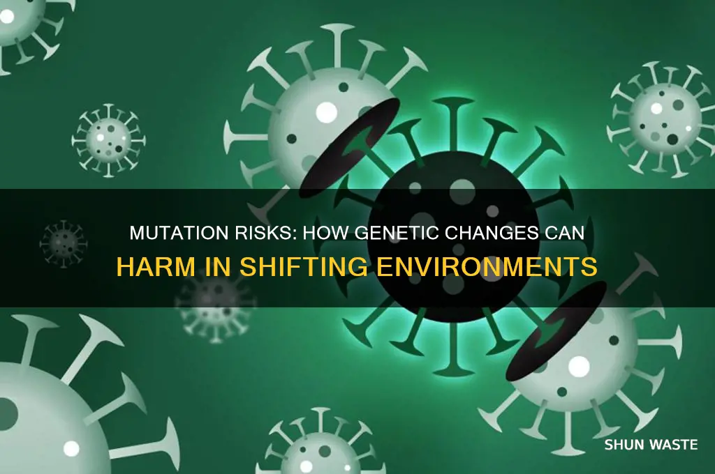 Mutation Risks: How Genetic Changes Can Harm In Shifting Environments ...