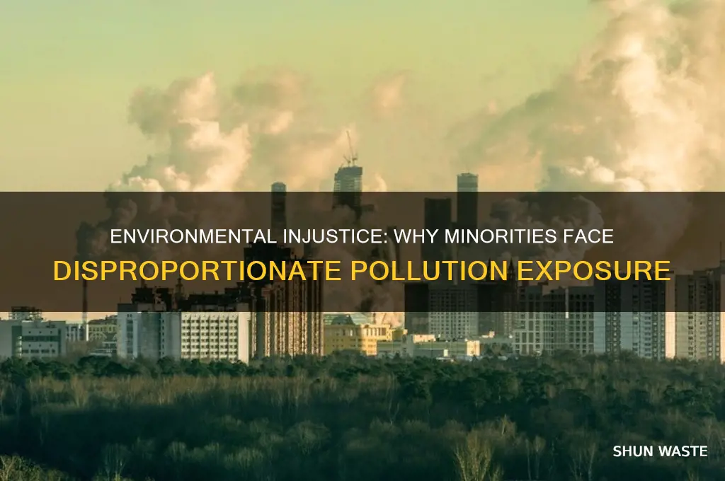 Environmental Injustice: Why Minorities Face Disproportionate Pollution ...