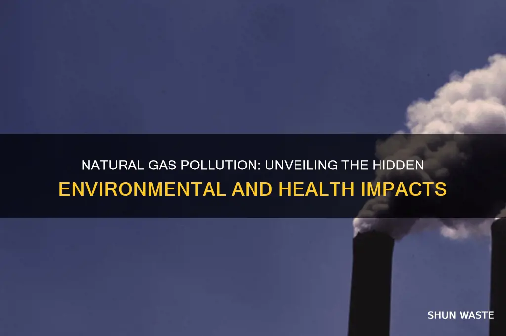 Natural Gas Pollution: Unveiling The Hidden Environmental And Health ...