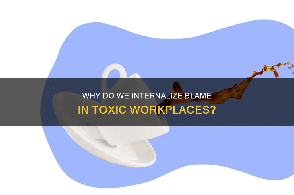 Why Do We Internalize Blame In Toxic Workplaces? | ShunWaste