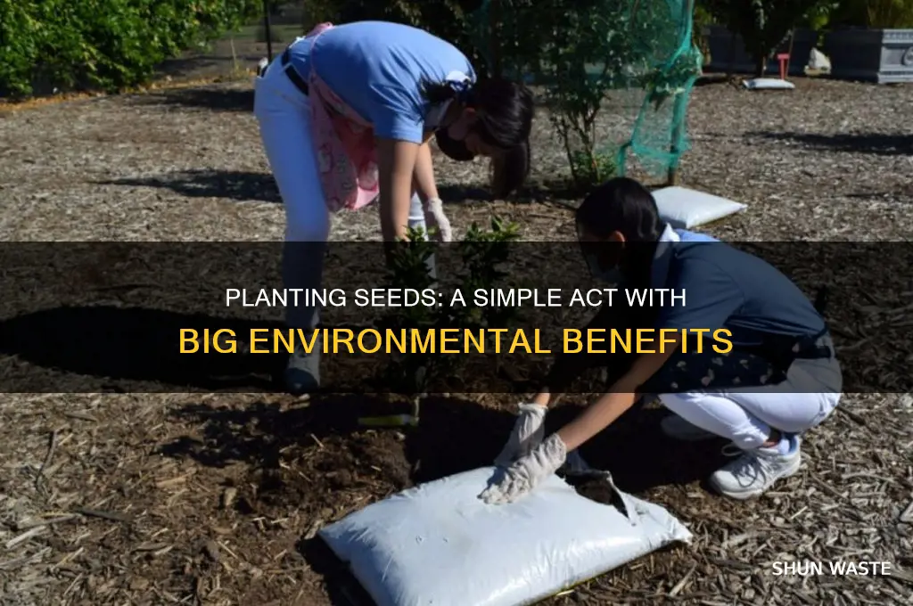 Planting Seeds: A Simple Act With Big Environmental Benefits | ShunWaste