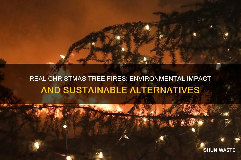 Real Christmas Tree Fires: Environmental Impact And Sustainable ...