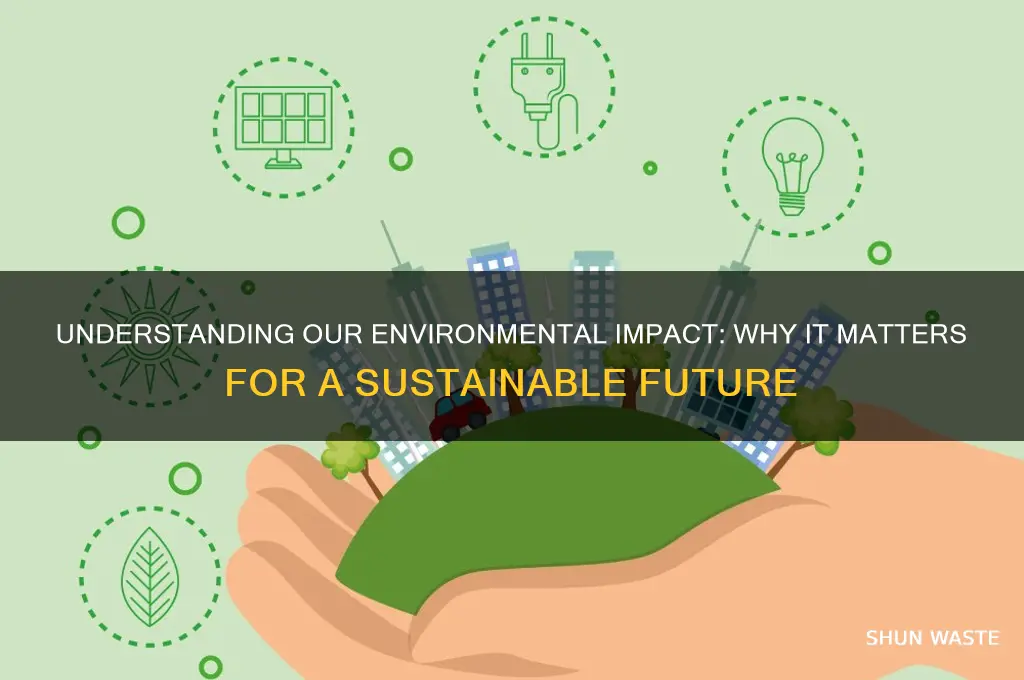 Understanding Our Environmental Impact: Why It Matters For A ...