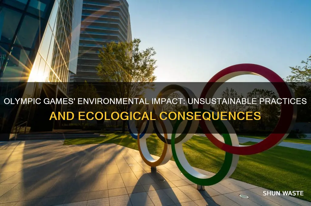 Olympic Games' Environmental Impact: Unsustainable Practices And ...