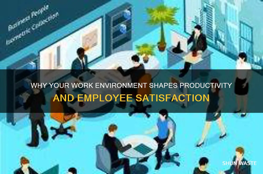 Why Your Work Environment Shapes Productivity And Employee Satisfaction ...