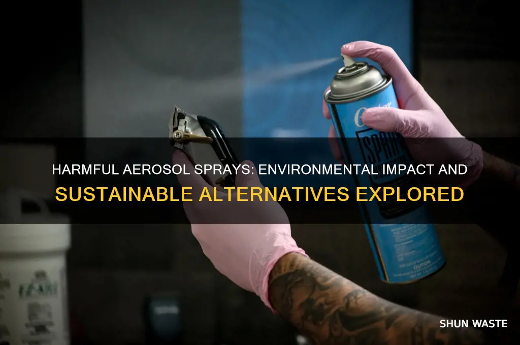 Harmful Aerosol Sprays: Environmental Impact And Sustainable ...