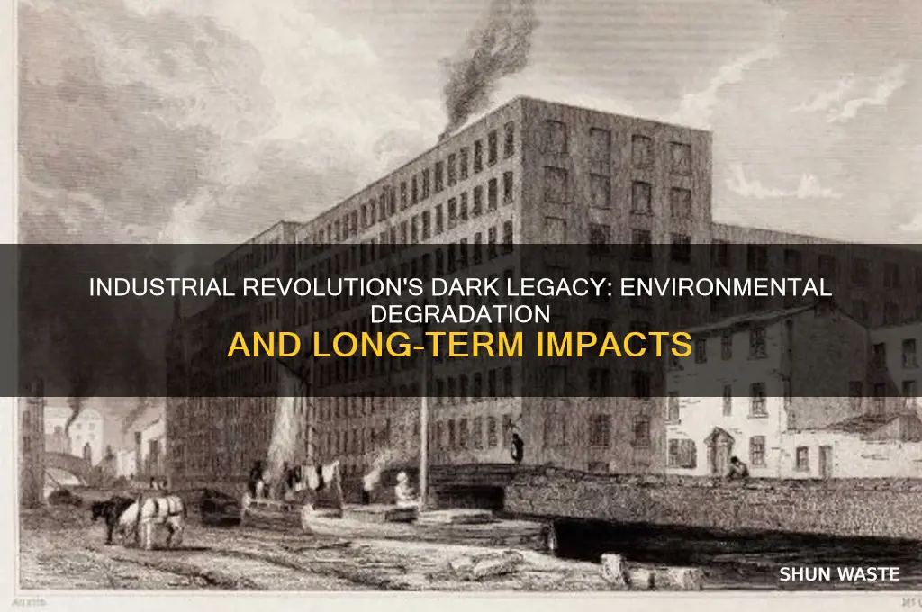 Industrial Revolution's Dark Legacy: Environmental Degradation And Long ...