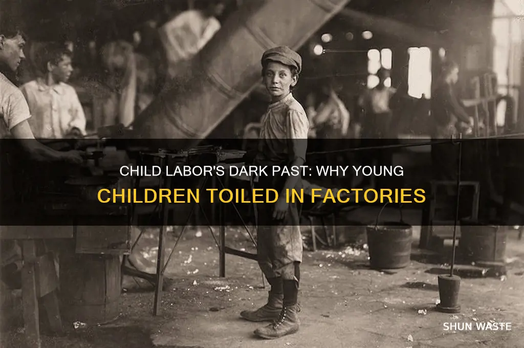 Child Labor's Dark Past: Why Young Children Toiled In Factories | ShunWaste