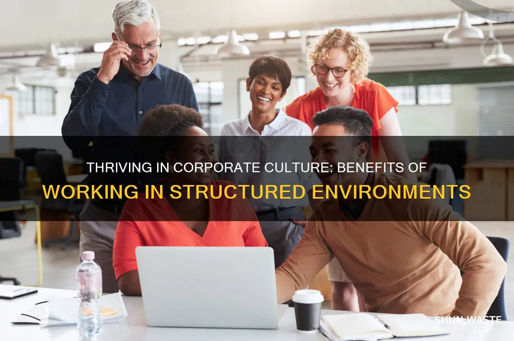 Thriving In Corporate Culture: Benefits Of Working In Structured ...