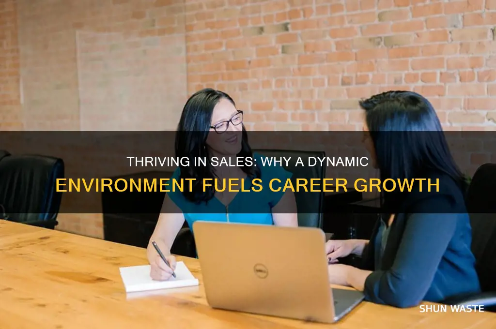 Thriving In Sales: Why A Dynamic Environment Fuels Career Growth ...