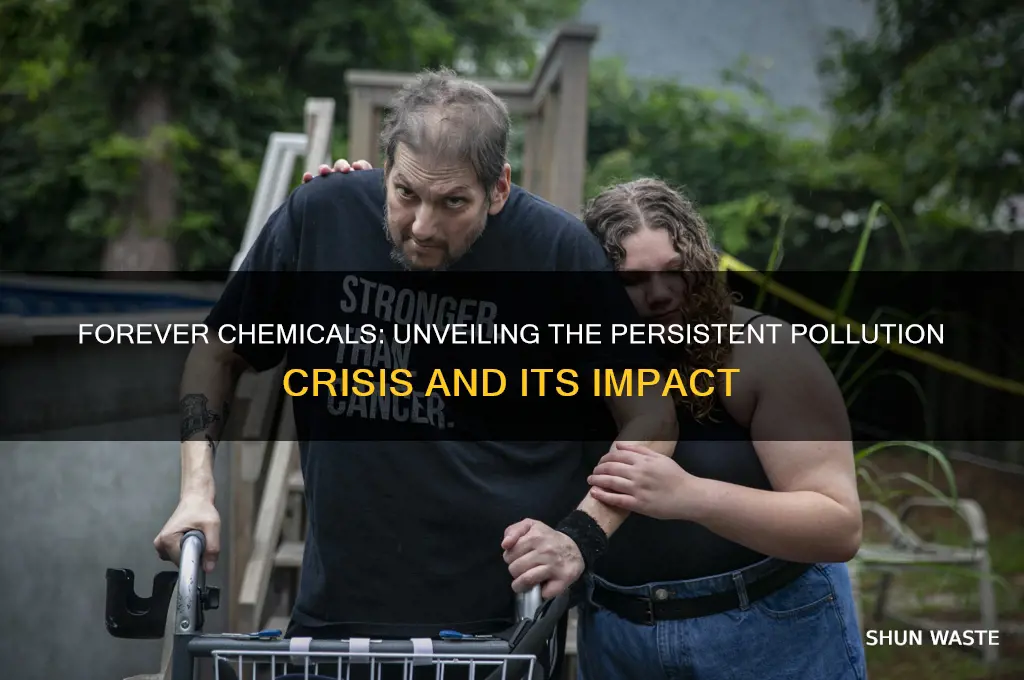 Forever Chemicals: Unveiling The Persistent Pollution Crisis And Its ...