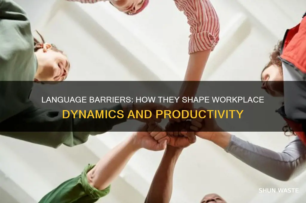 Language Barriers: How They Shape Workplace Dynamics And Productivity ...