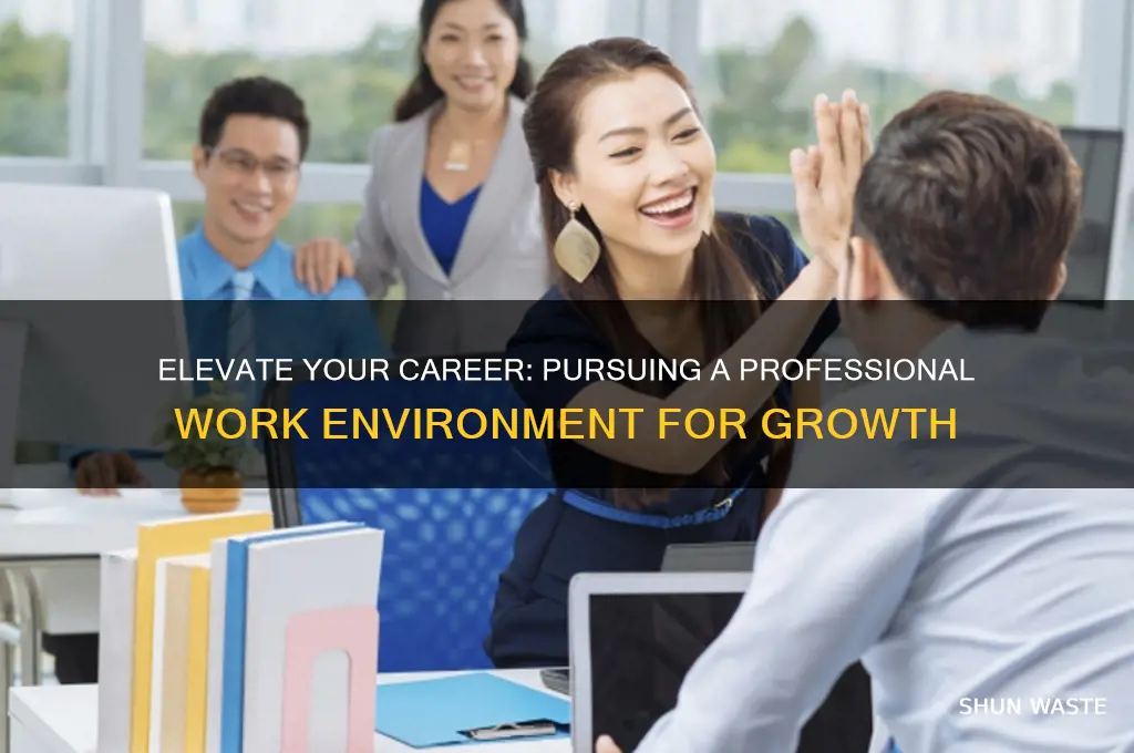 Elevate Your Career: Pursuing A Professional Work Environment For ...