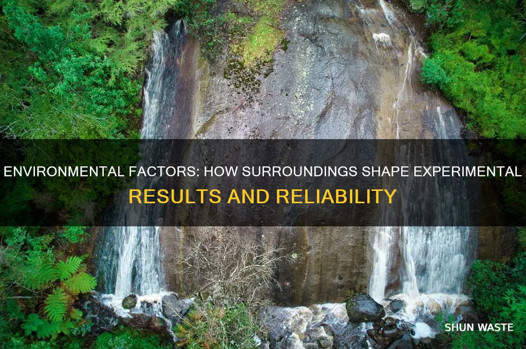 Environmental Factors: How Surroundings Shape Experimental Results And ...