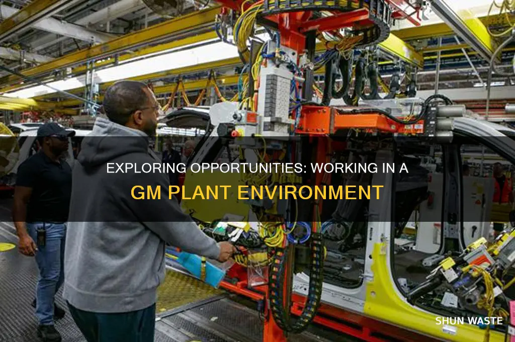 Exploring Opportunities: Working In A Gm Plant Environment | ShunWaste